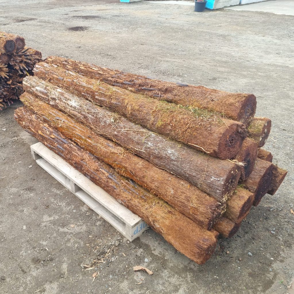 Punga Logs – Sort It Out Landscape Supplies